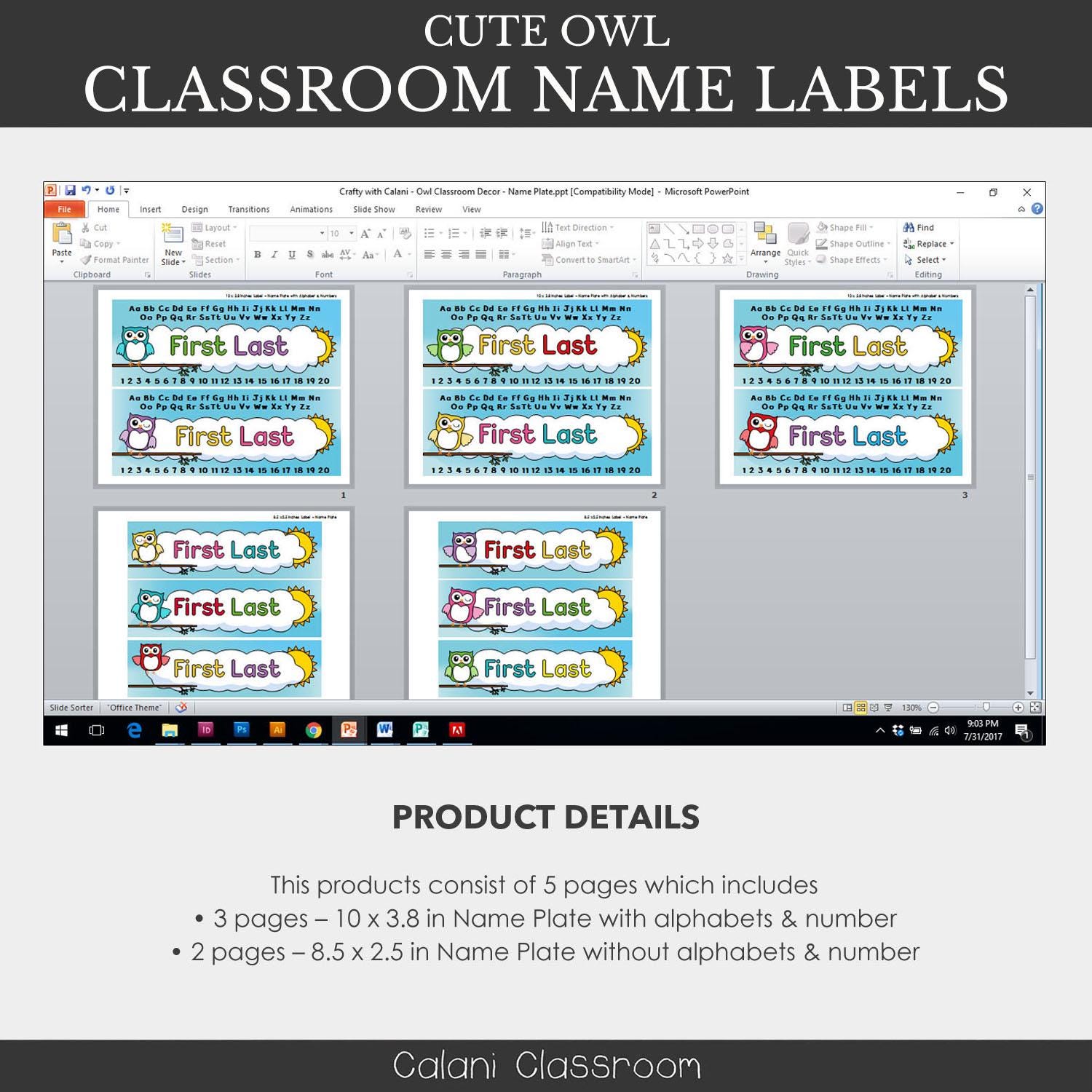 Classroom Name Plate Label, Owl Classroom Theme, Owl Name Label ...