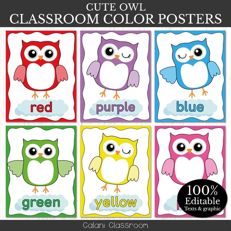 Color Poster Classroom Decor, Owl Classroom Theme, Editable Color ...