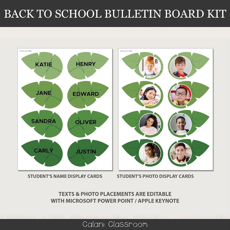 Back to School Bulletin Board Kit, Classroom Bulletin Board, Jungle ...