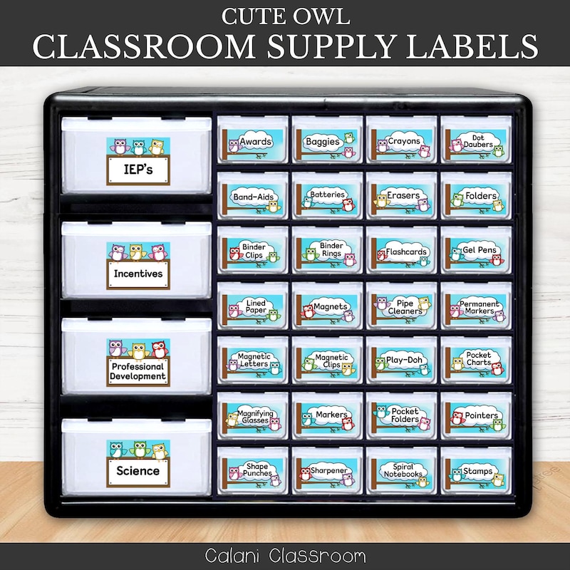 Classroom Themes - Etsy
