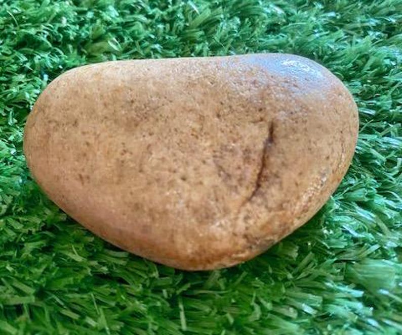 Dot Painted Design Pebble Stone/indigenous Art Design/aboriginal Style ...