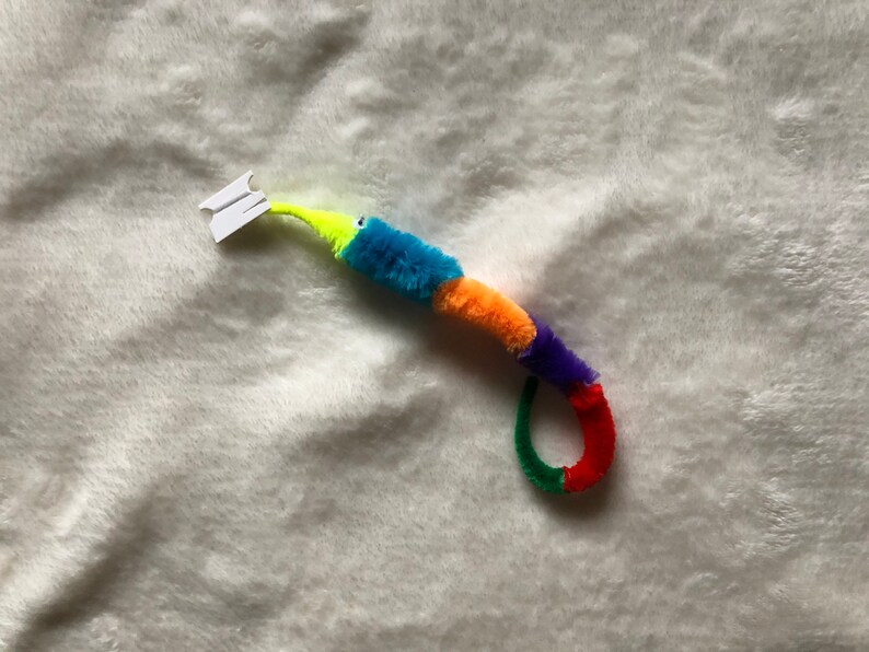 Rainbow worm on a string | Etsy