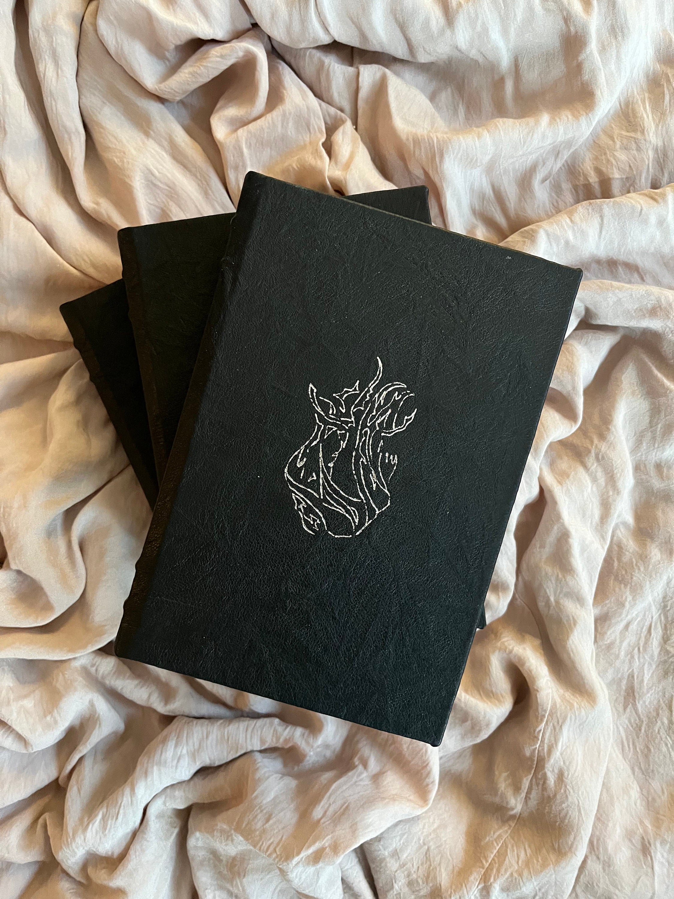 The WITCHER 3 Book Set by Andrzej Sapkowski | Etsy