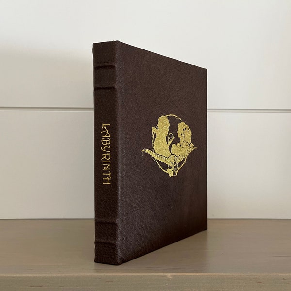 Labyrinth Costume - Etsy