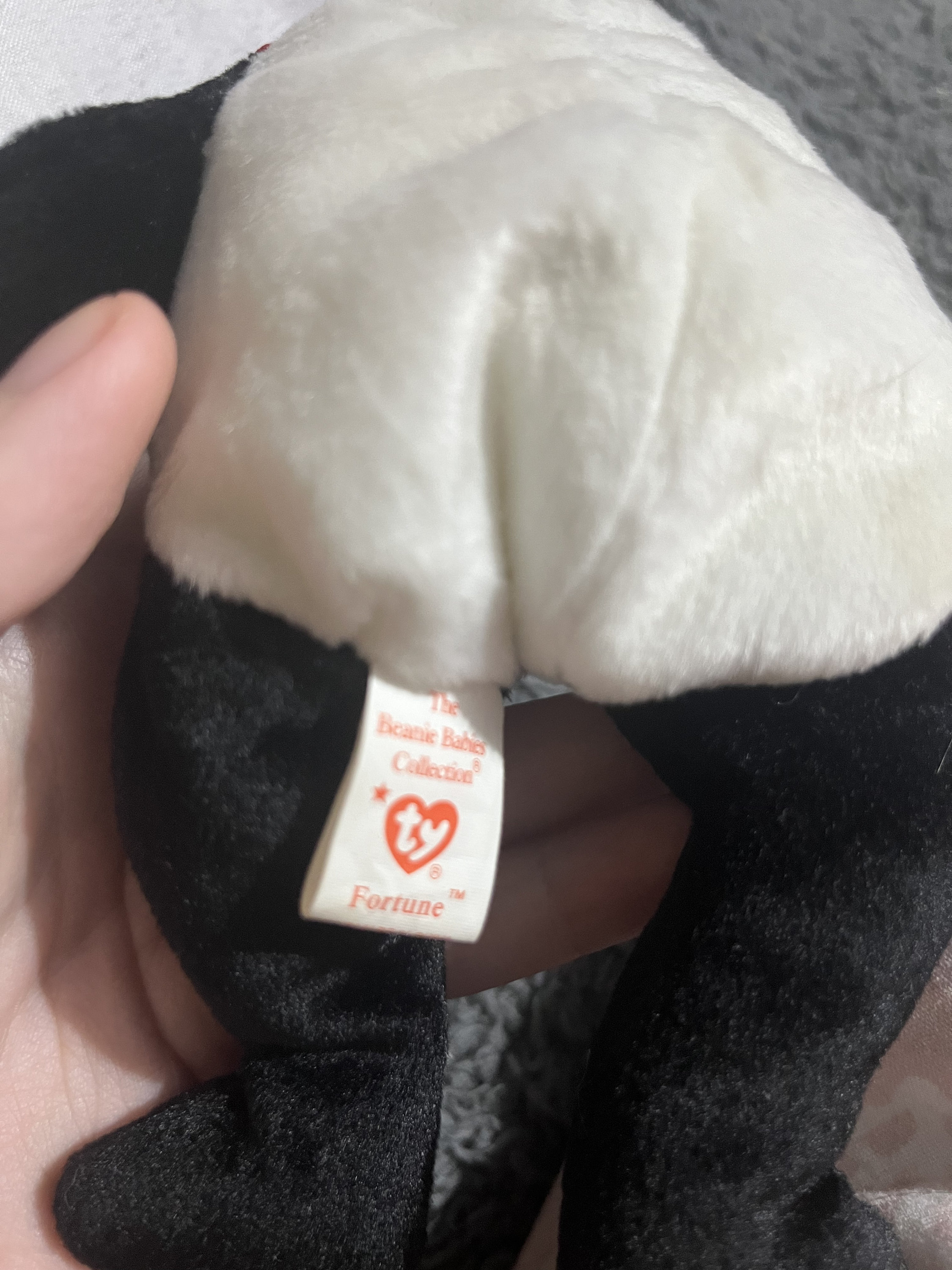 Rare Fortune Beanie Baby With ERRORS, Ty Beanie Baby Bear, Collector ...