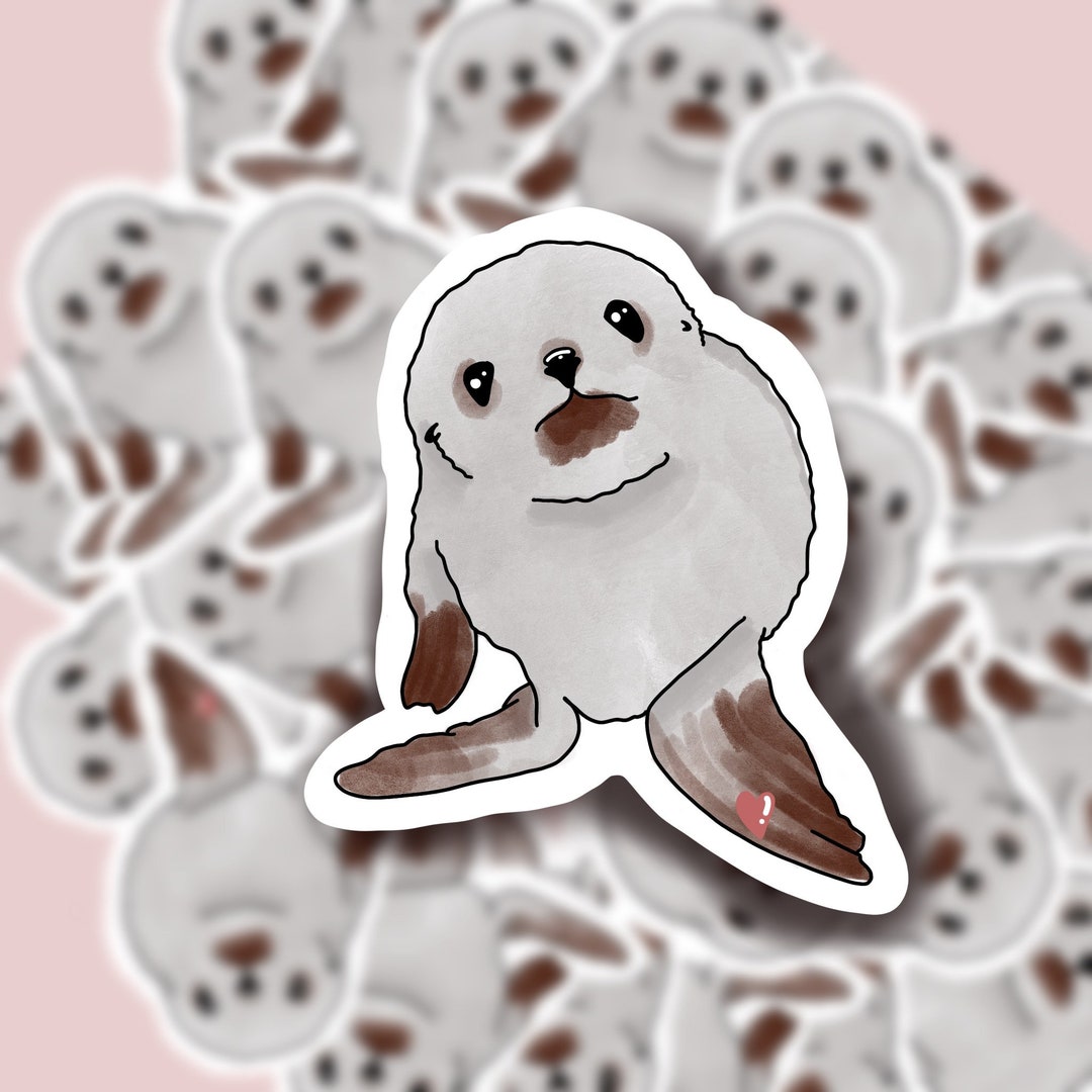 Baby Seal Sticker - Etsy