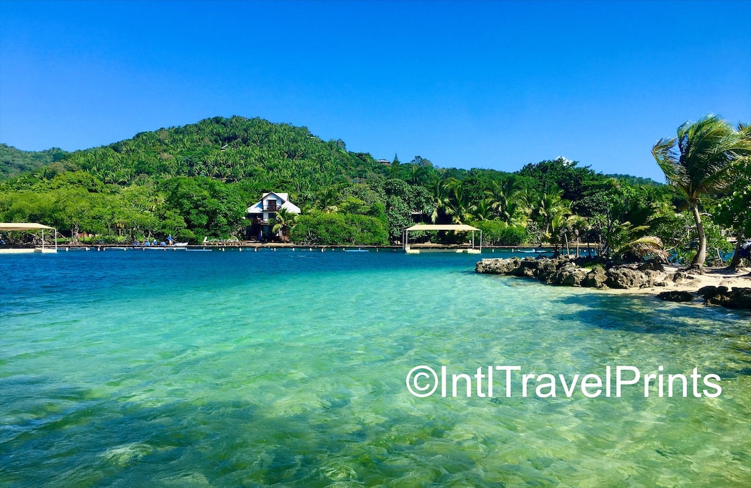 Tropical Honduras, Roatan Beach, Ocean, Palm Trees Digital Print - Etsy