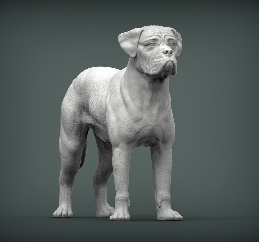 3D Printed Bullmastiff Sculpture – Detailed Dog Figure for Pet Memorial ...