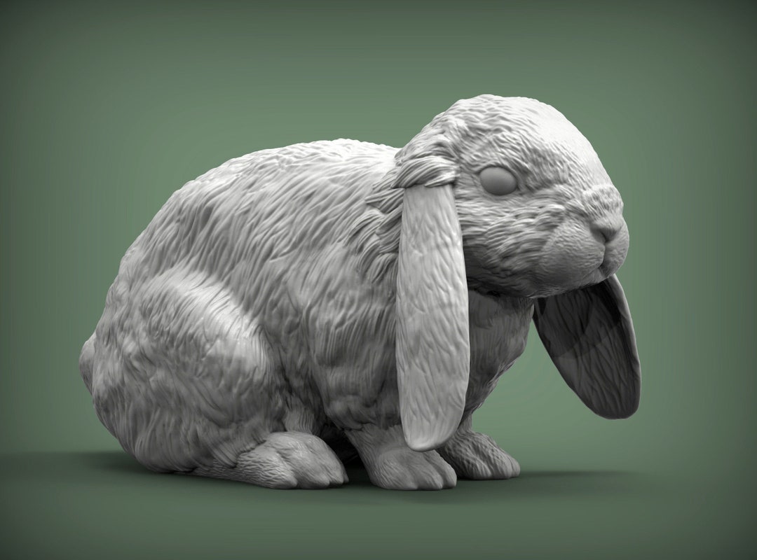 American Fuzzy Lop 3D Printed Rabbit Figurine for Pet Memorial or Shelf ...