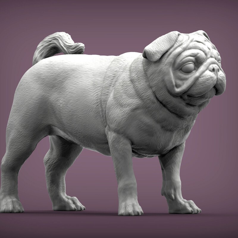 Pug Cake Topper - Etsy