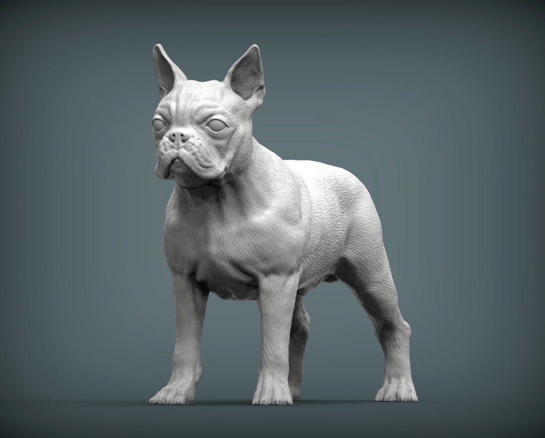 3D Printed Boston Terrier Sculpture – Realistic Dog Figurine for ...