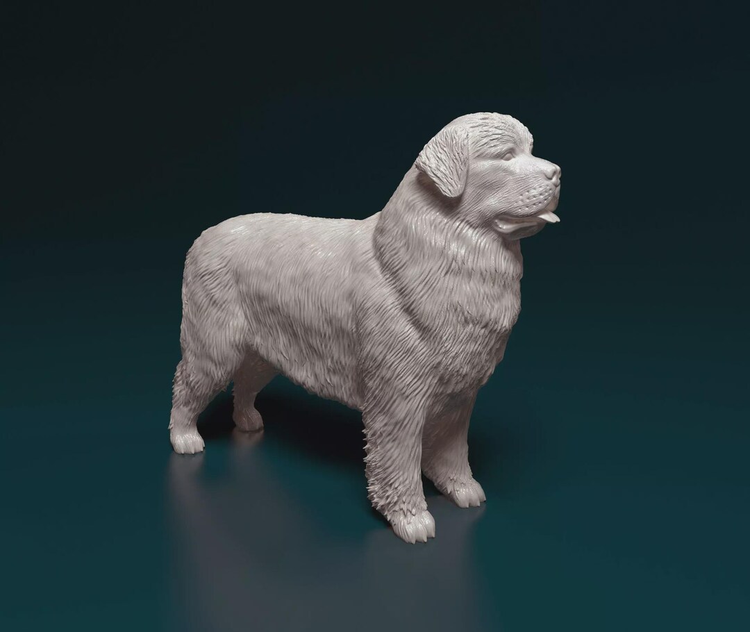 Newfoundland Dog 3D Printed Statue for Pet Memorial or Shelf Display - Etsy