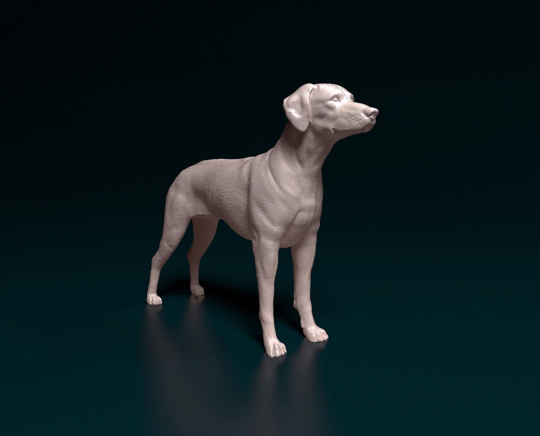 3D Printed Rhodesian Ridgeback Sculpture – Dog Figurine, Home Decor ...
