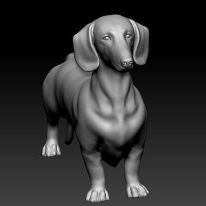3D Printed Dachshund Dog Sculpture – Realistic Wiener Dog Figurine for ...