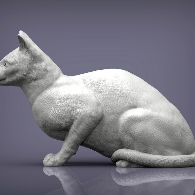 Siamese Cat Statue - Etsy