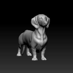 3D Printed Dachshund Dog Sculpture – Realistic Wiener Dog Figurine for ...