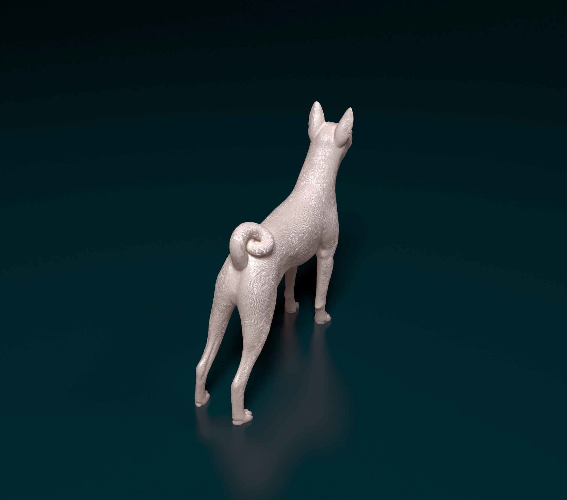 3D Printed Basenji Dog Statue Ready-to-paint Unpainted - Etsy