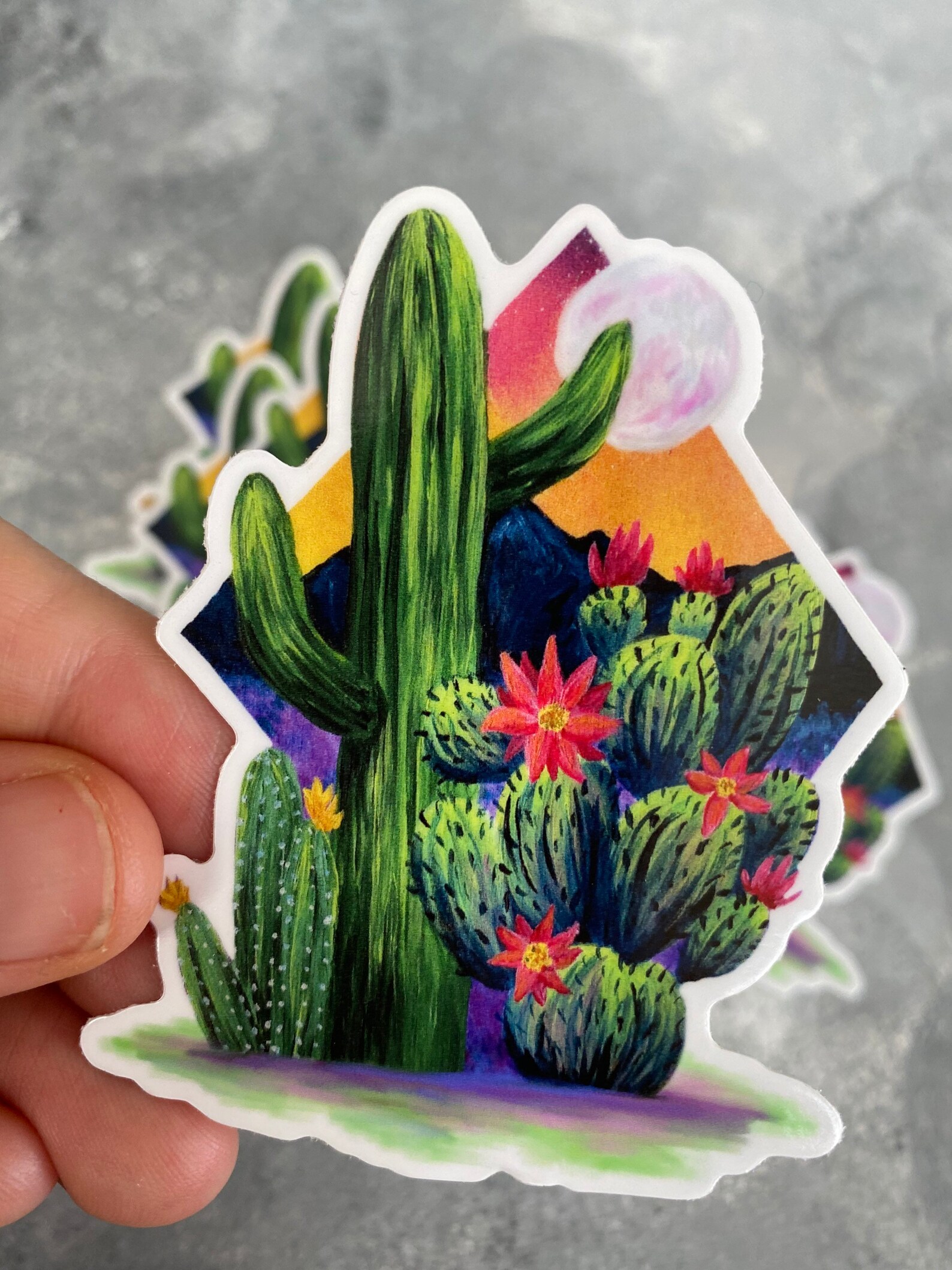 Desert Cactus Sticker | Etsy