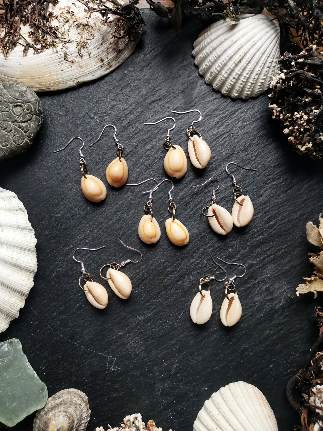 Real Shell Earrings, Seaside Jewellery, Shell Earrings, Cowrie Shells ...