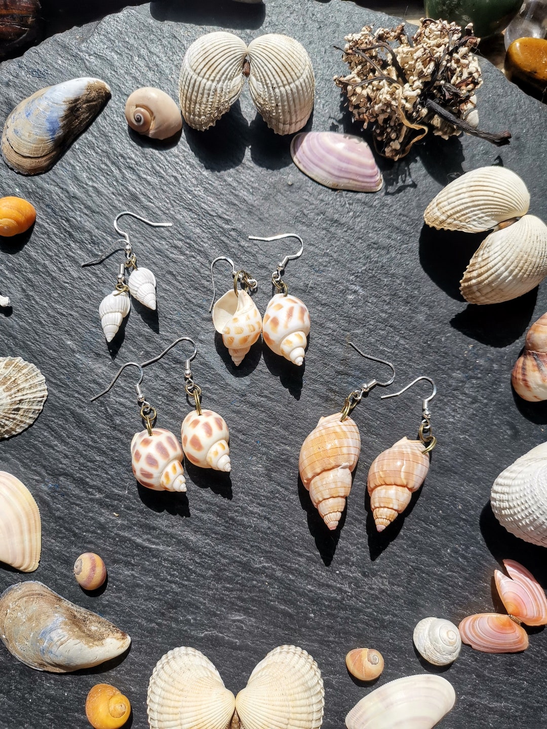 Real Shell Earrings, Seaside Jewellery, Shell Earrings, - Etsy