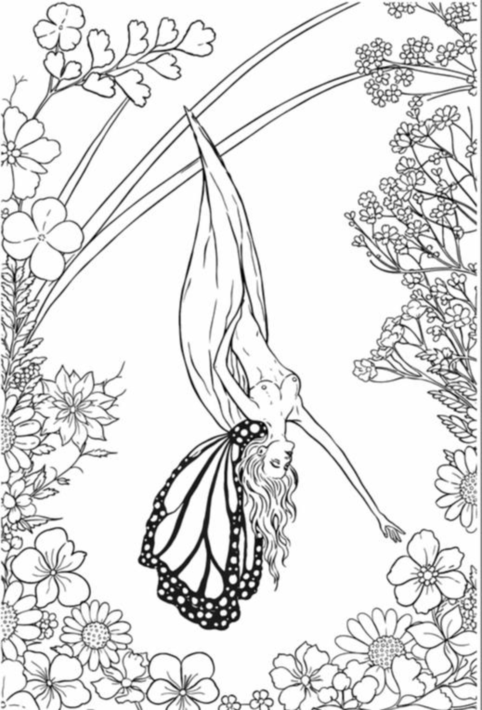Fairy Chrysalis Coloring Page Printable | Butterfly Fairy Colouring ...