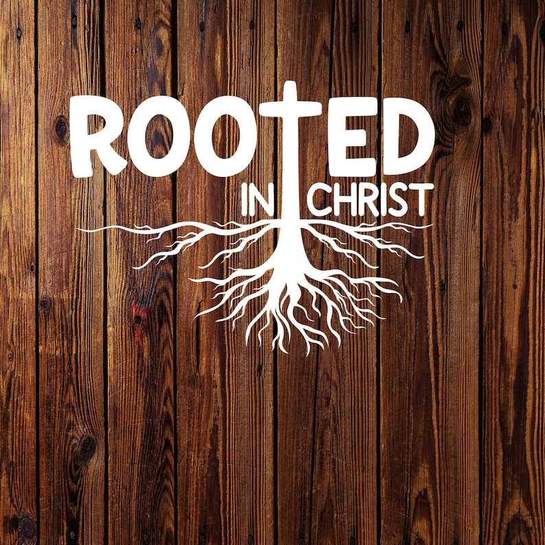Rooted in Christ Backdrop/for Events-reunions or Church. - Etsy