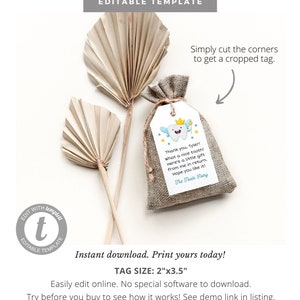 Tooth Fairy Gift Tag, Printable Gift Tag From Tooth Fairy, Tooth Fairy ...