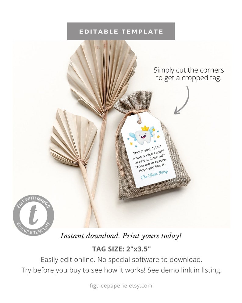 Tooth Fairy Gift Tag Printable Gift Tag from Tooth Fairy | Etsy