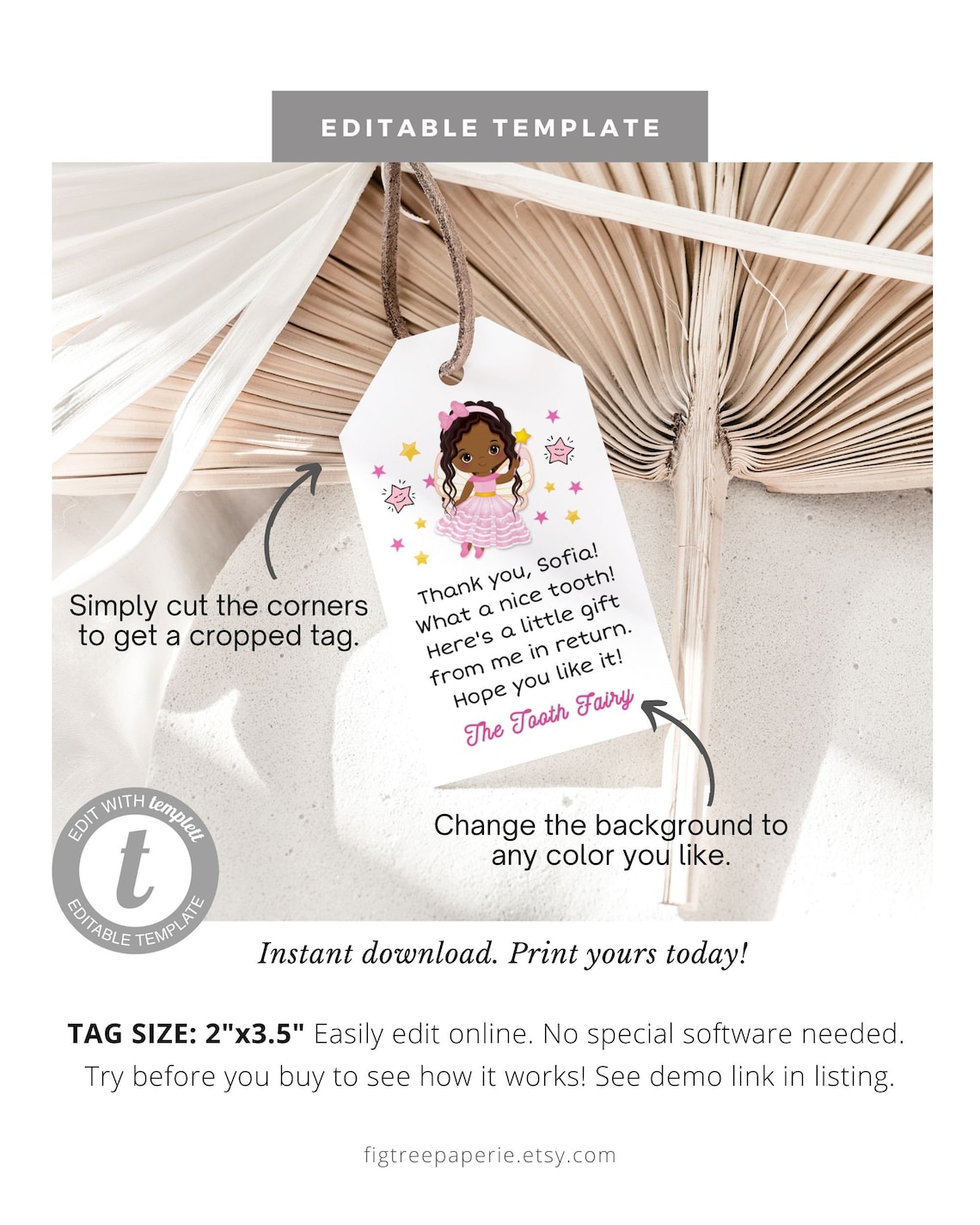 Gift Tag From the Tooth Fairy for a Girl Cute Girl Fairy - Etsy