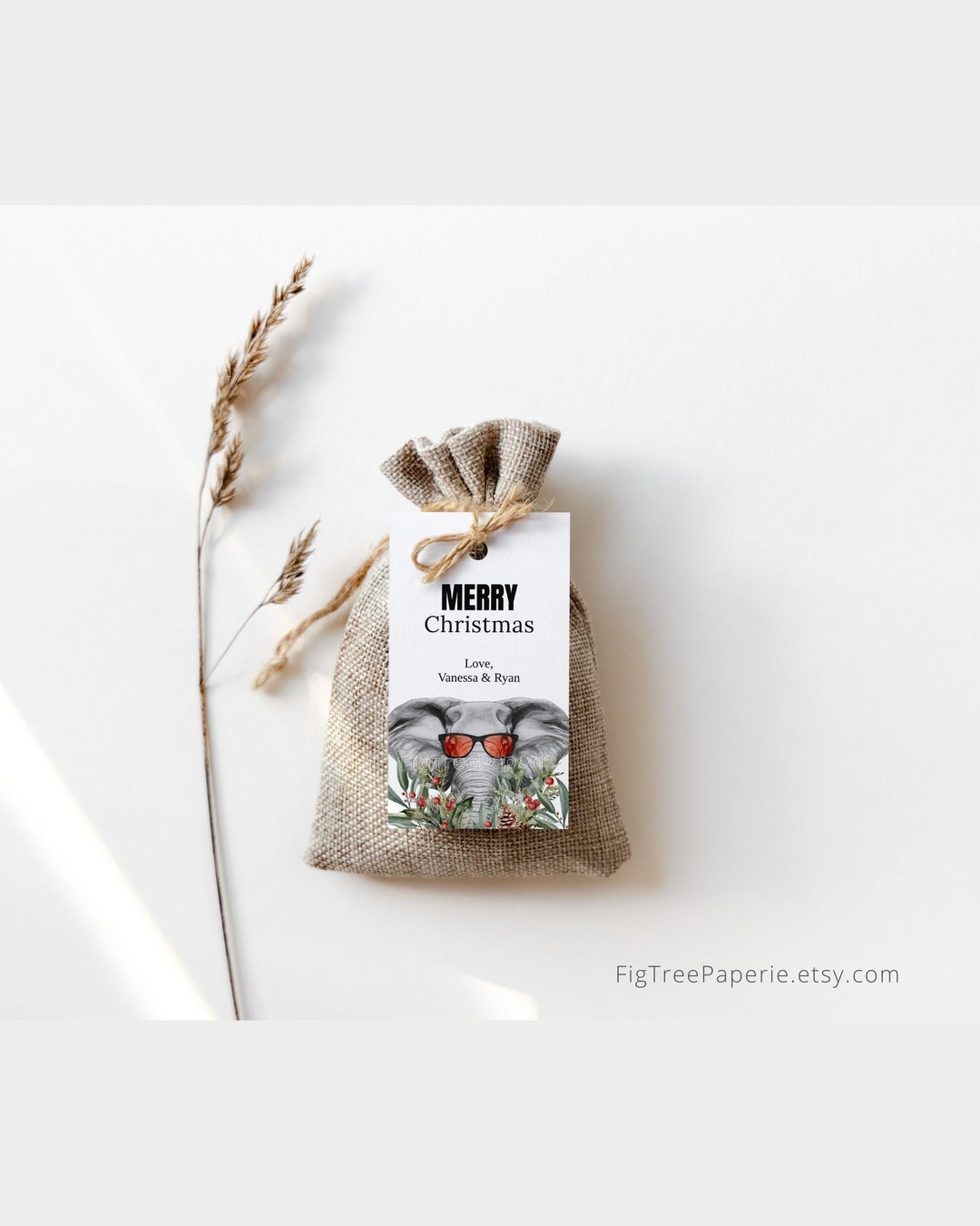 White Elephant Party Favor Tag, White Elephant Gift Tag, Printable ...