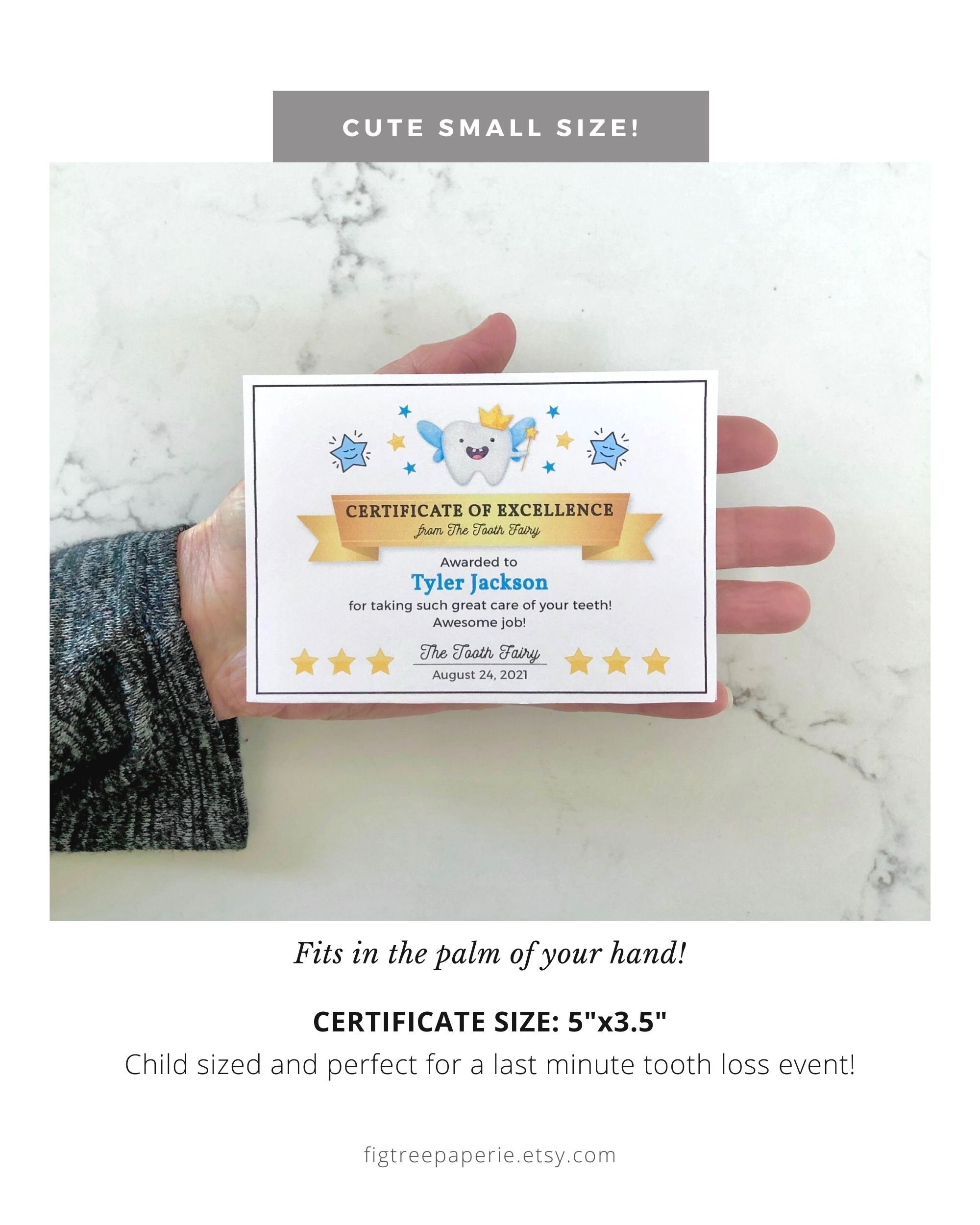 Mini Tooth Fairy Certificates Printable Editable Tooth Fairy | Etsy
