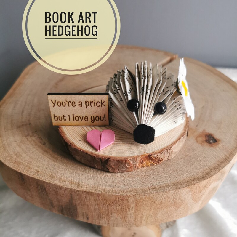 Book Hedgehog - Etsy UK