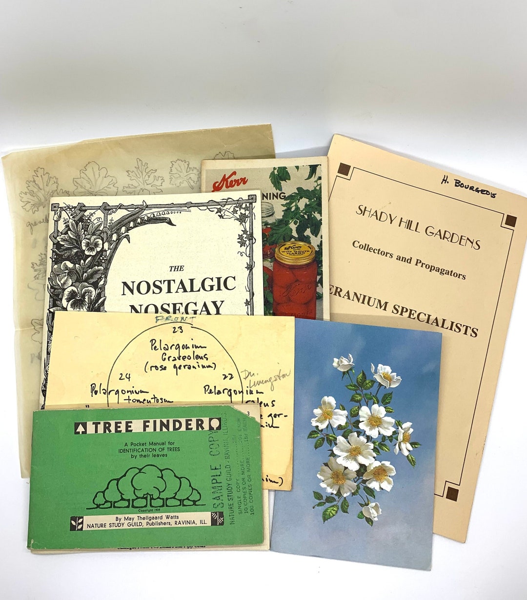 Vintage Gardening Ephemera Lot: Flower Drawings, Pamphlets for Junk ...