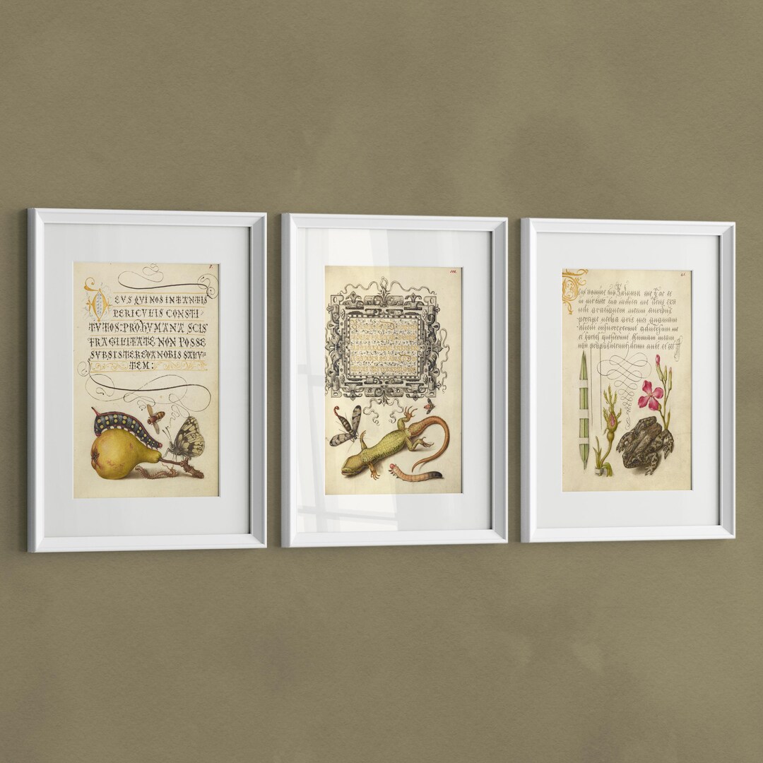Vintage Wall Art Prints With Calligraphy, Caterpillar, Lizard and Frog ...