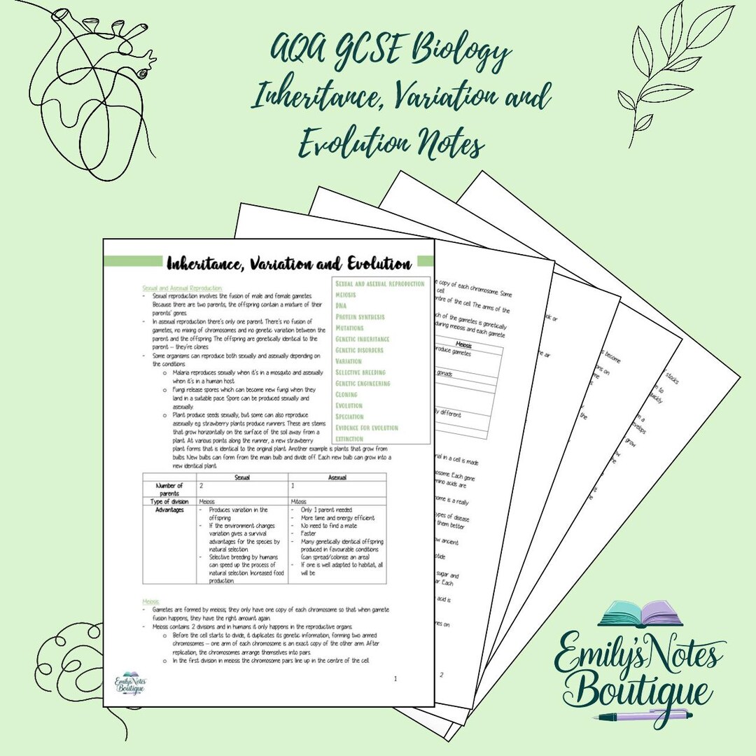 AQA GCSE Biology Revision Notes Topic 6 (inheritance, Variation and ...