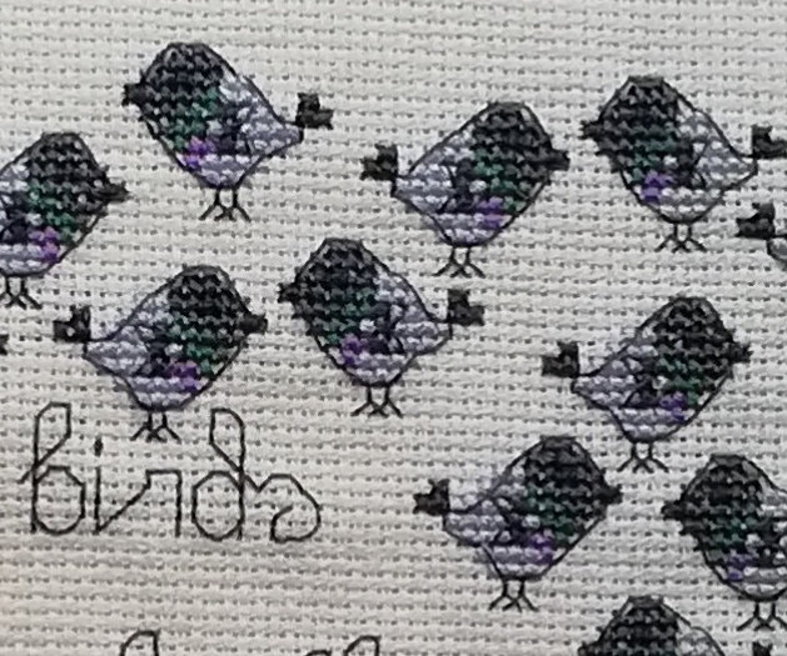 PDF Cross Stitch Pattern Birds of a Feather Flock Together - Etsy