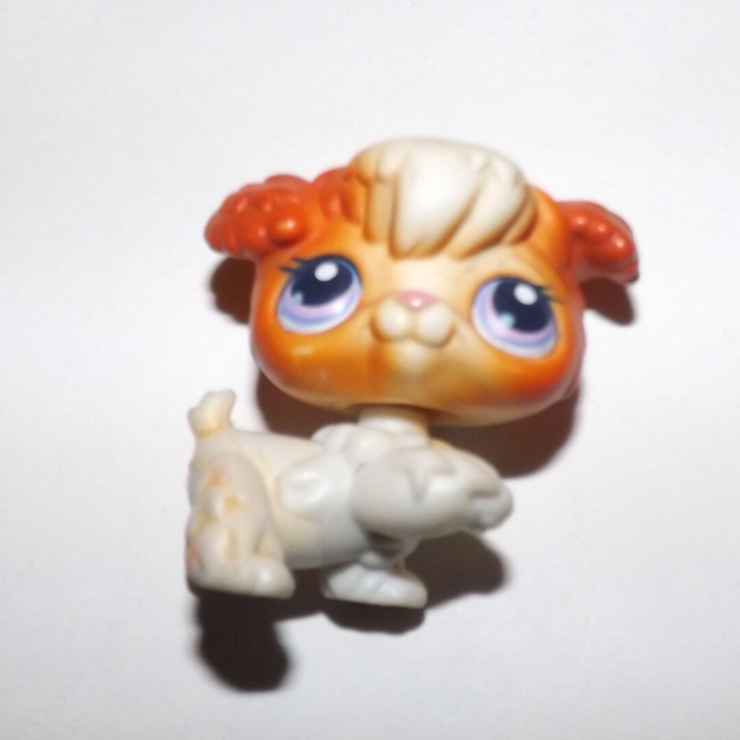 Puppy Poodle Dog 37 G1 First Gen Littlest Pet Shop LPS Authentic ...