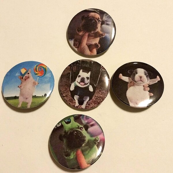 Alien Pibble - Etsy
