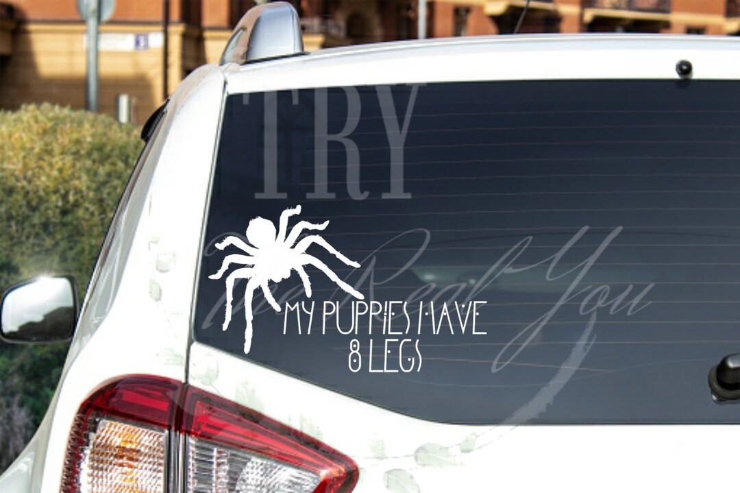 Tarantula Decal | Spider Lover Decal | Spider | Pet Parent Decal ...