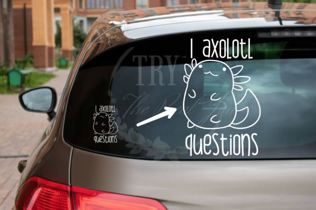 I Axoltol Questions Decal, Axolotl Decal, Exotic Animal Decal - Etsy I Axoltol Questions Decal, Axolotl Decal, Exotic Animal Decal - Etsy