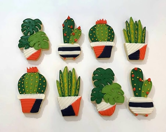 Houseplant Cookies Set of 8 - Etsy