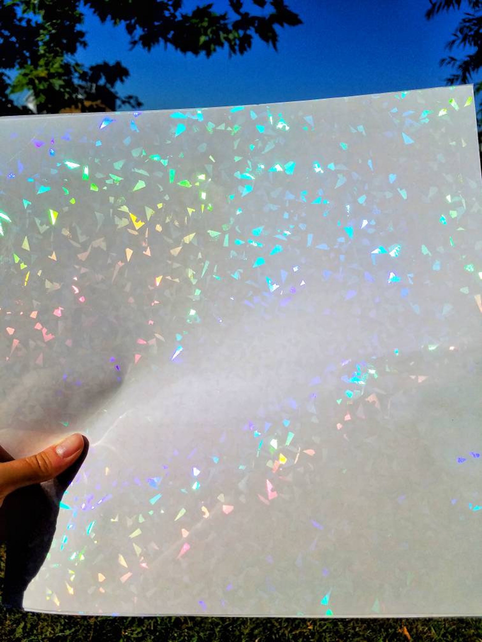 Floral Skull X-ray Markers Rad Tech Gift Split Skull X-ray - Etsy