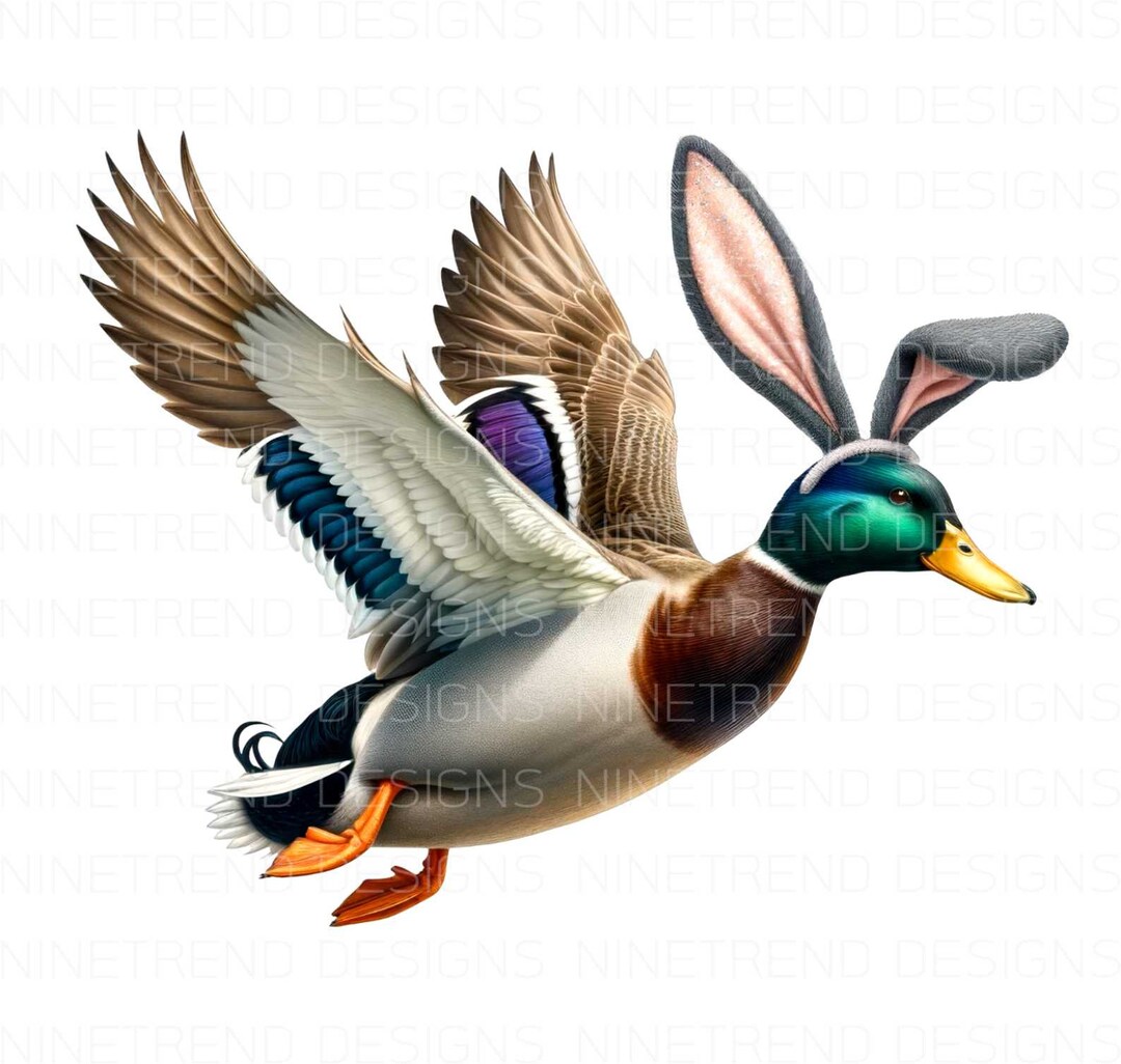 Watercolor Mallard Duck Bunny Ears PNG: Sublimation Clipart (digital ...