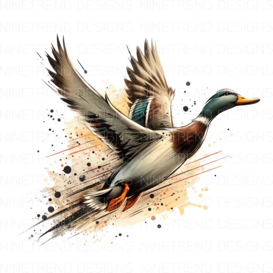 Flying Mallard Duck Watercolor PNG: Hunting Clipart (digital Download ...