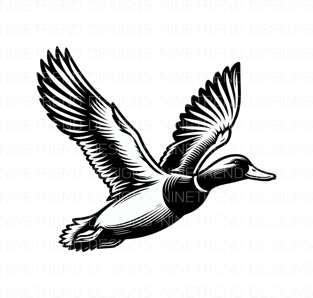 Flying Mallard Duck Svg Png Sublimation Png Printable Silhouette Svg Png Cut Files Instant