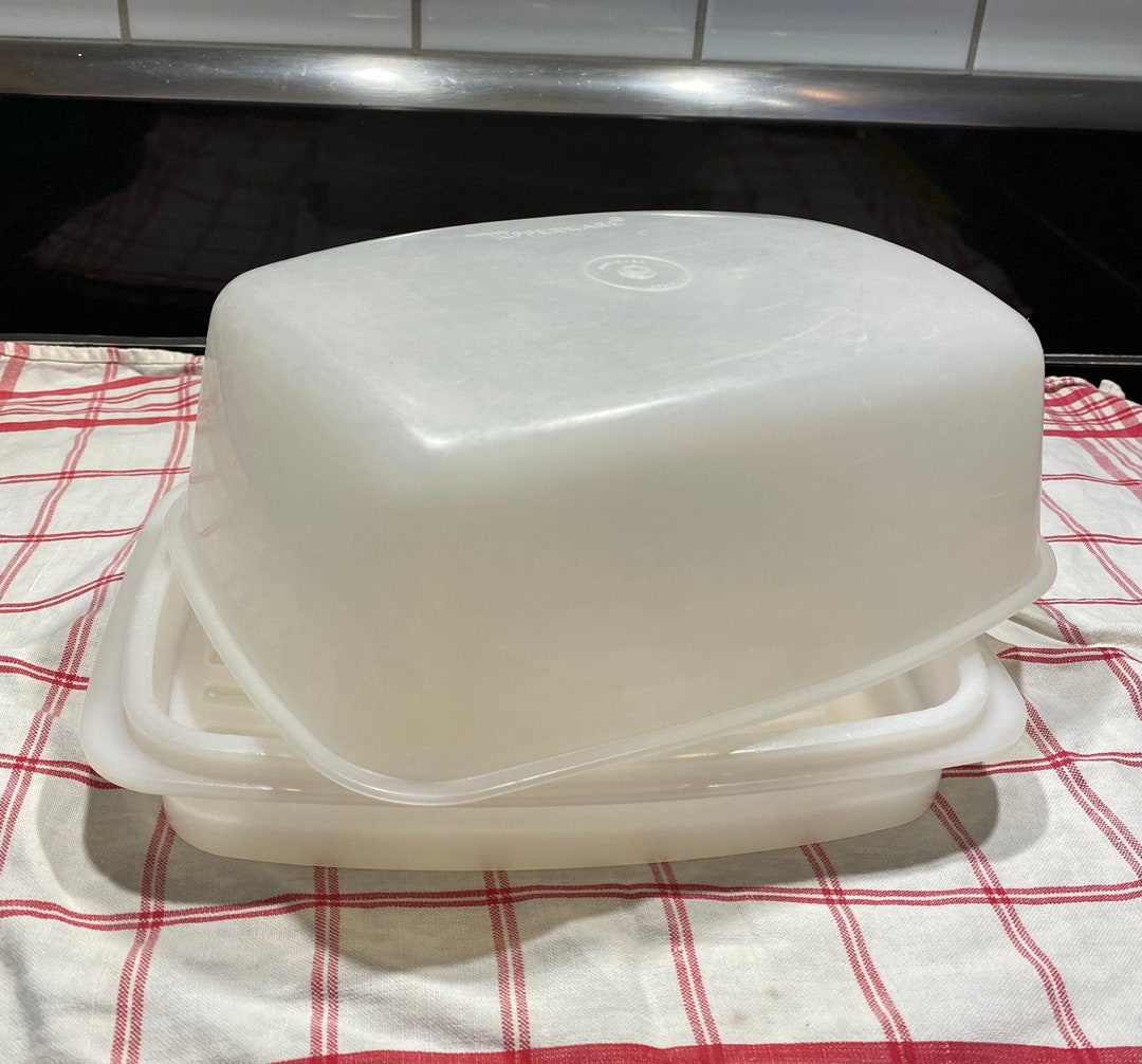 Tupperware 2 Piece Meat Keeper #857 White Base and Flavor Savor Sheer ...