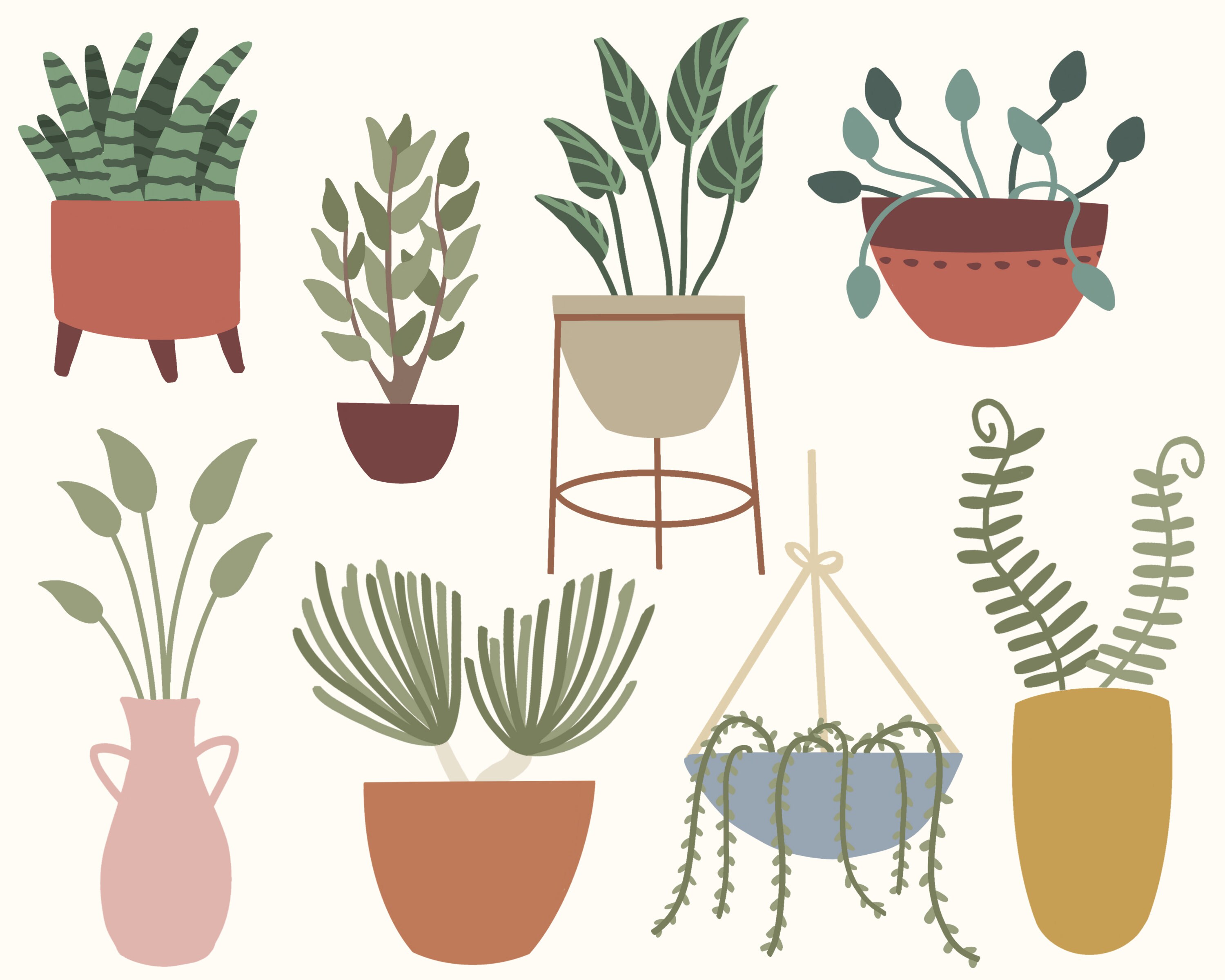 House Plants Clipart - Instant Download Hand-drawn Plant Graphics. 20 ...