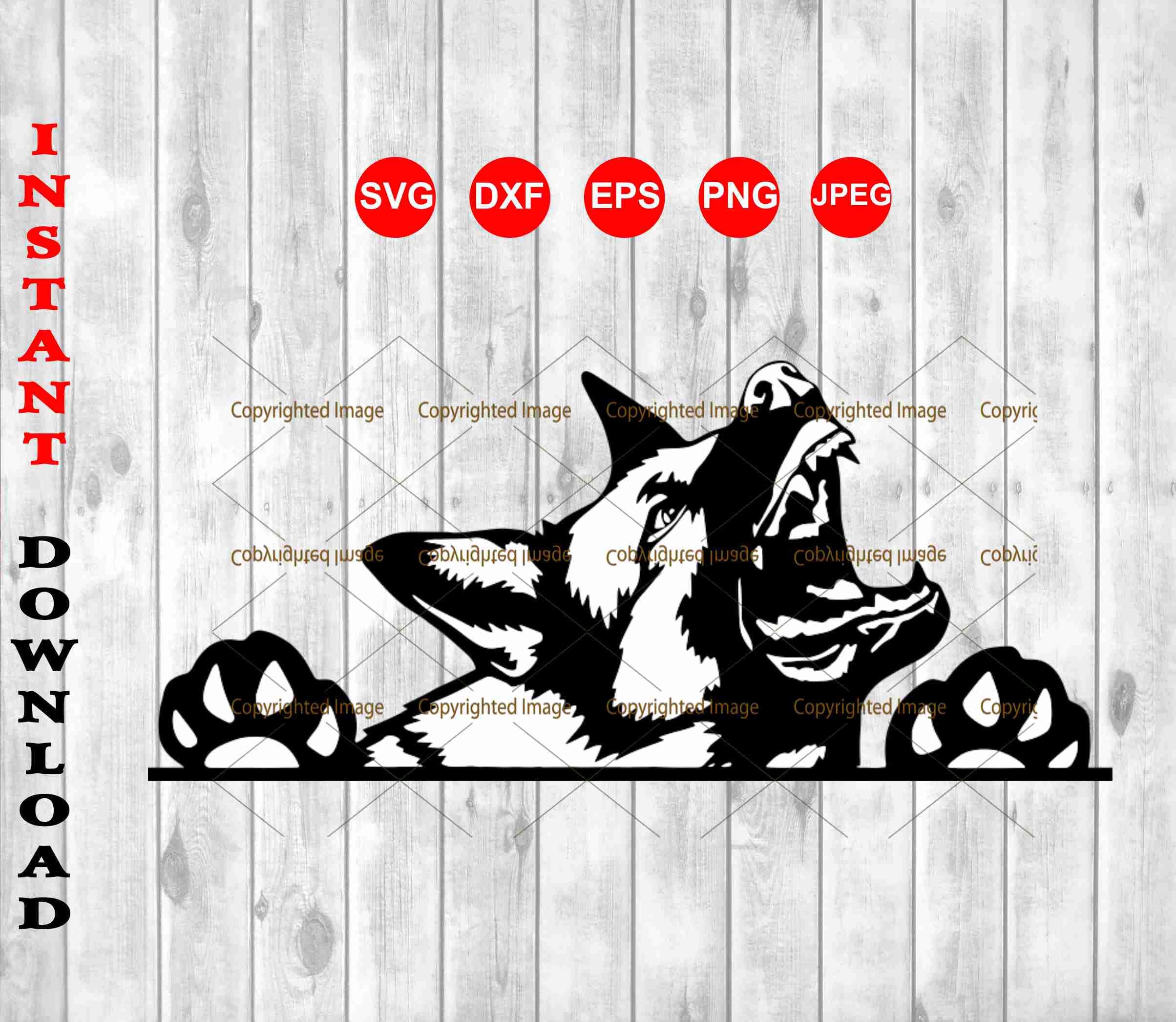 Mean German Shepherd Clipart