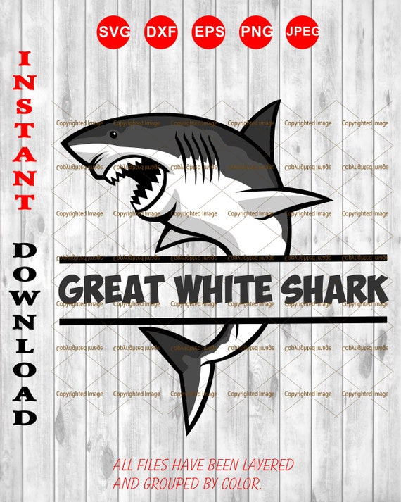 Shark Monogram svg cutting files png clipart EPS | Etsy
