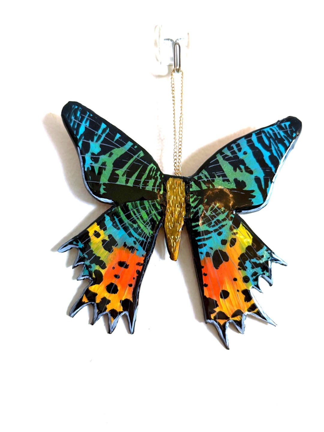 Madagascan Sunset Moth Butterfly Wall Decor - Etsy